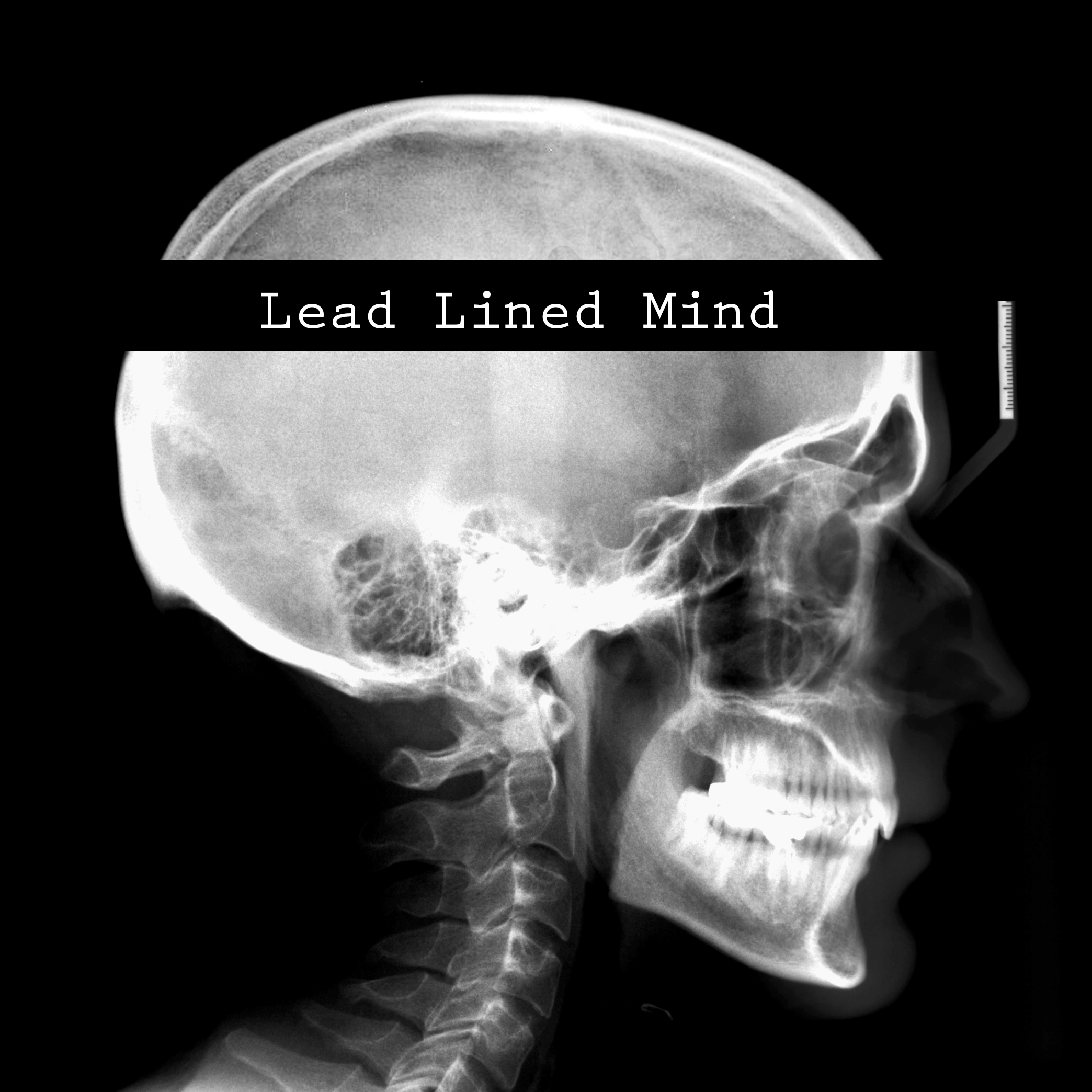 Lead Lined Mind